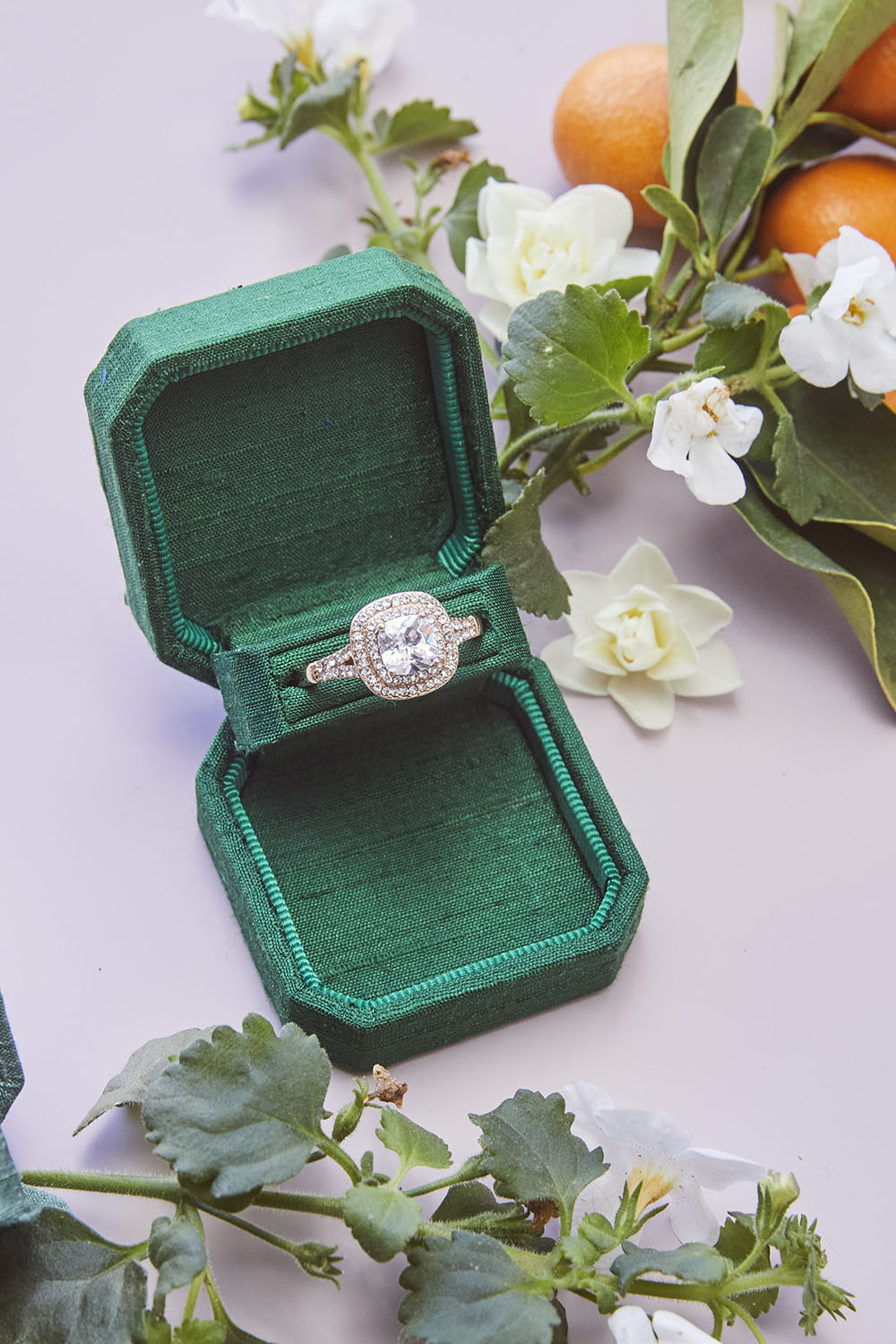 The Levi Proposal – The Mrs. Box